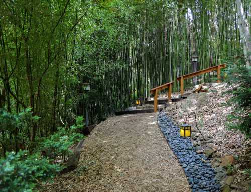 The Story of Portlock, AK: An Abandoned Town in Alaska