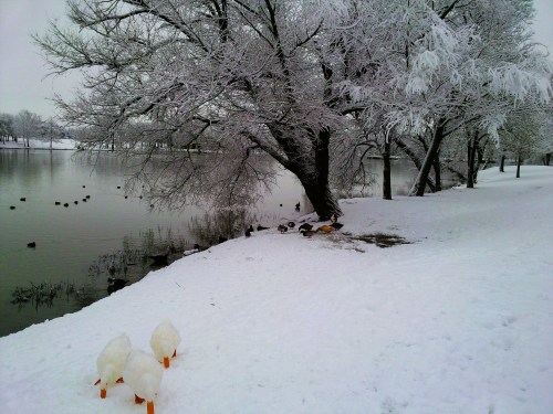 14 Spots in Texas That Will Drop Your Frozen Jaw This Winter