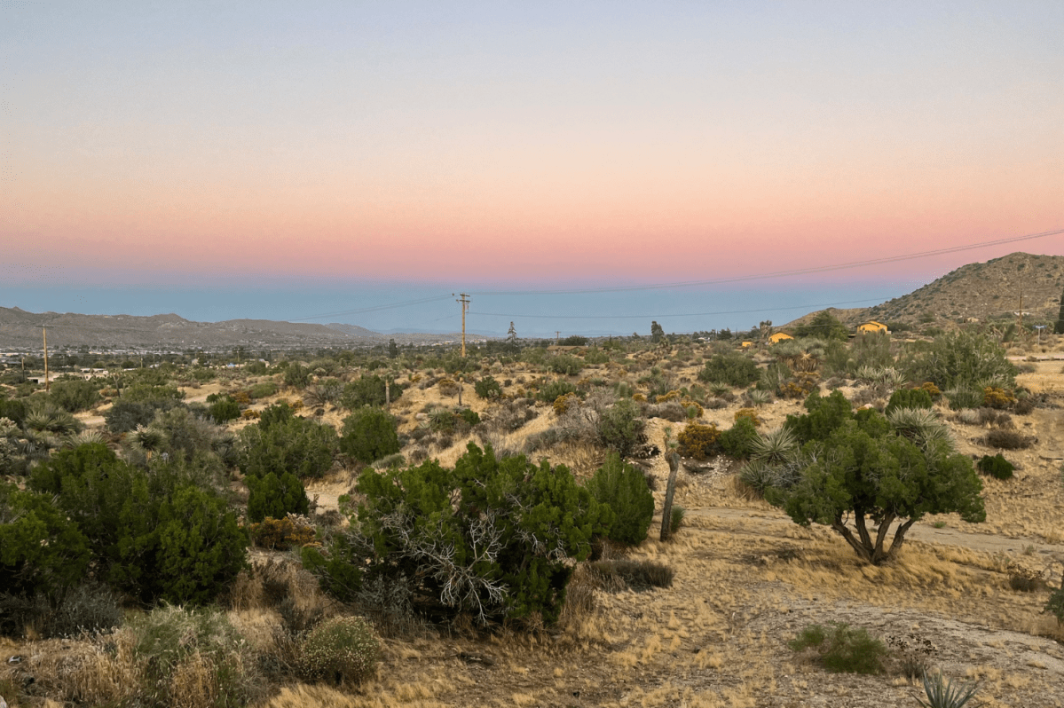Explore Joshua Tree: Iconic Sights, Hidden Gems, and Unforgettable ...