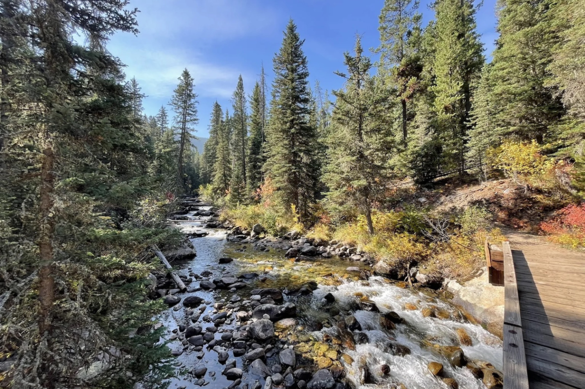 Hell Roaring Creek: Hidden Gem and Natural Wonder in Montana