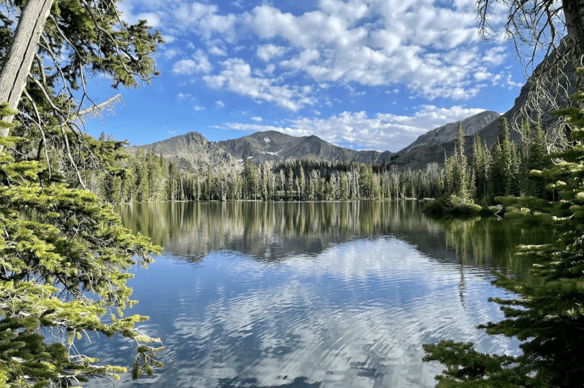 Iron Bog Lake: Natural Wonder and Hidden Gem in Idaho