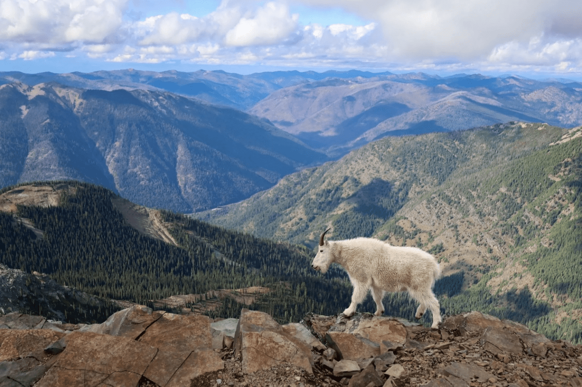 Scotchman Peak Trail: An Iconic Trail in Idaho Everyone Should Hike