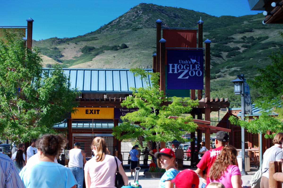 This Interactive Exhibit at the Hogle Zoo Is the Best New Attraction in ...