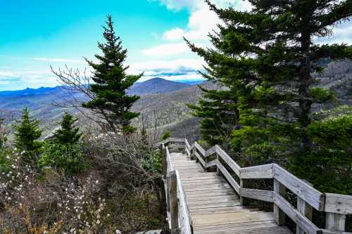 Rough Ridge Overlook: an Amazing Trail in North Carolina