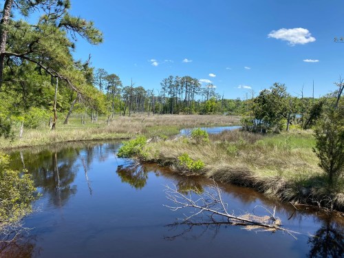 5 of Virginia's Quietest and Most Peaceful Parks and Trails