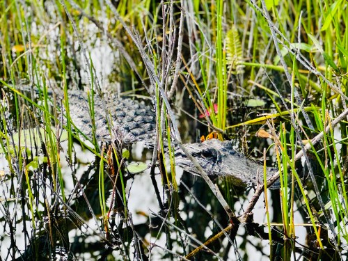 12 Florida Recipes Everyone Should Definitely Know
