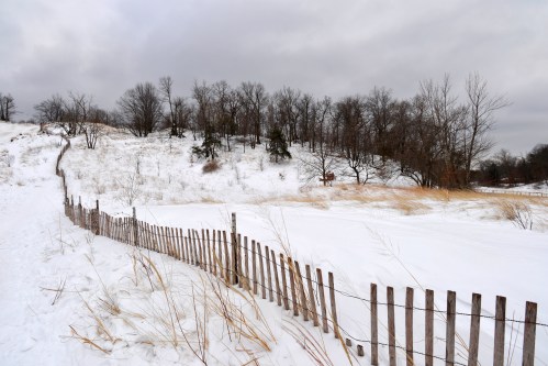 Winter in Indiana is Jaw-Droppingly Beautiful Each and Every Year