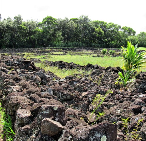 The Most Iconic View in Hawaii Is Also a Stunning Slice of History