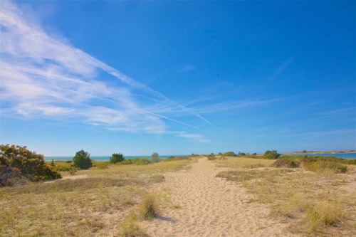 Monomoy Island In Massachusetts Is A Gem of a Destination