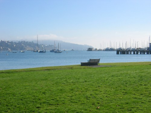 The Audubon Center in Northern California Where You'll See More Than ...