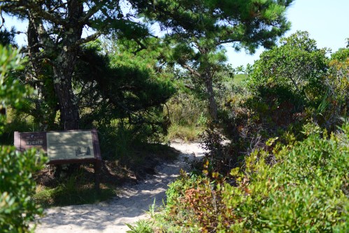 Monomoy Island In Massachusetts Is A Gem of a Destination