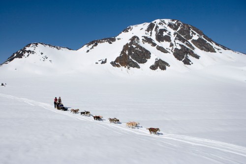 The 15 Best Things to Do in Alaska in Winter