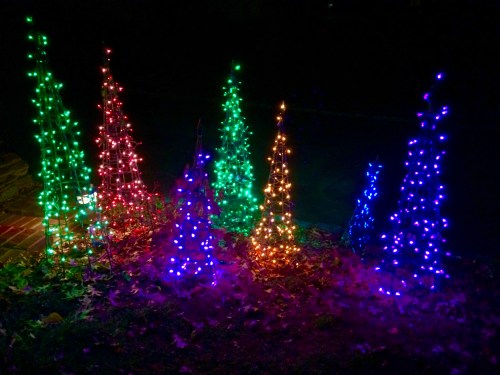 The 15 Best Things to Do in Delaware in Winter