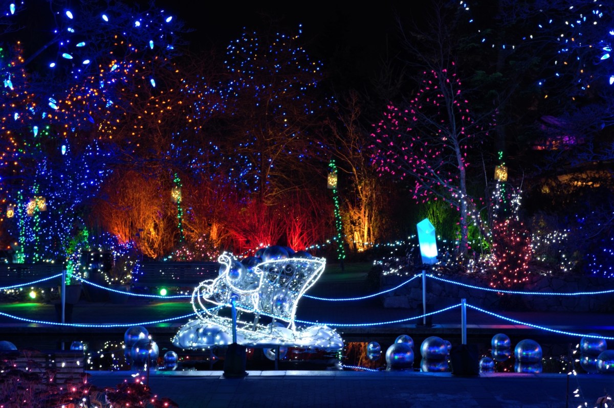 Get in The Spirit With The Best Christmas Lights in Delaware