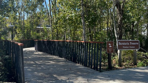 Barataria Preserve in Louisiana Is A Gem of a Destination