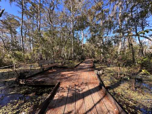 Barataria Preserve in Louisiana Is A Gem of a Destination