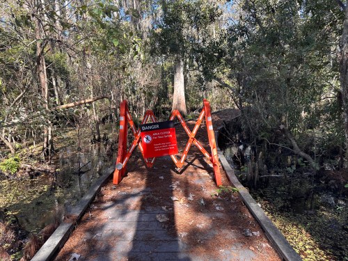 Barataria Preserve in Louisiana Is A Gem of a Destination
