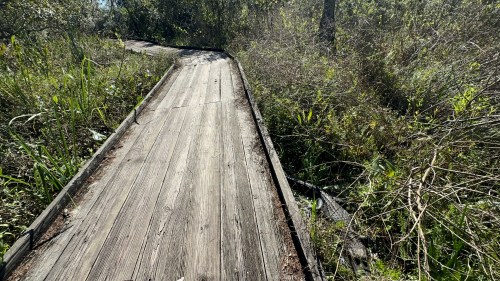 Barataria Preserve in Louisiana Is A Gem of a Destination