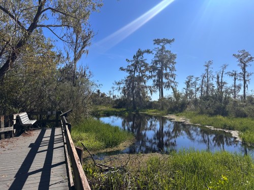 Barataria Preserve in Louisiana Is A Gem of a Destination