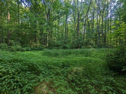 This Lesser-Known Hike at Shades State Park Belongs on Your Hiking ...