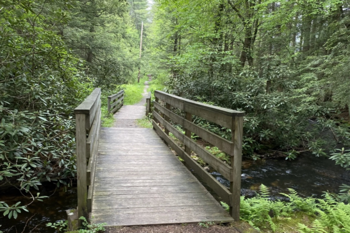 5 Quiet Hiking Trails in Pennsylvania for a Peaceful Escape