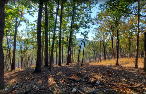 A Small-Town State Park, Morrow Mountain State Park Has It All