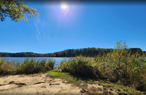Underrated State Parks In South Carolina: Visit Chester State Park