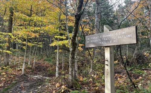 Best Hiking Trails In Vermont: Try The Stowe Pinnacle Trail For ...