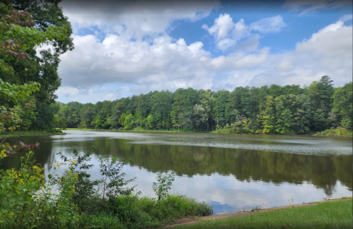 5 Quiet Hiking Trails in North Carolina to Escape the Crowds