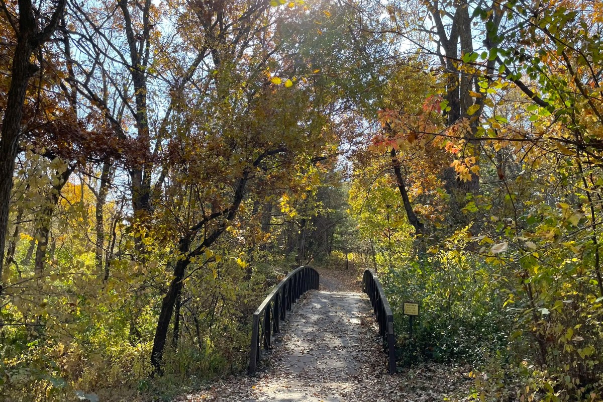 The Carpenter Nature Center Loop Is One of Our Favorite Hikes in ...
