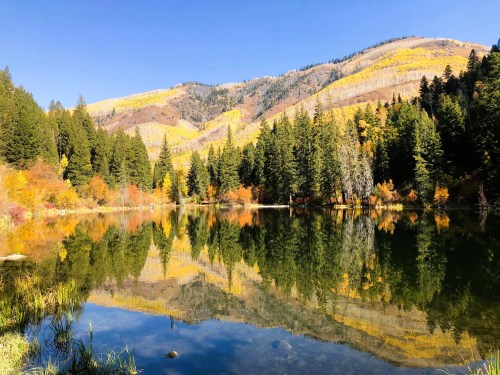 Secret Mountain Lake in Colorado: Lizard Lake in Marble CO