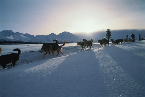 Wasilla: The Up-and-Coming City in Alaska That’s Perfectly Sized
