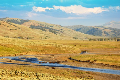 Lamar Valley in Yellowstone National Park in Wyoming Is a Gem of a ...