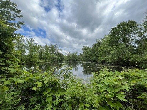 Skip the Crowds: Explore Ohio's 5 Quietest Trails and Parks This Month