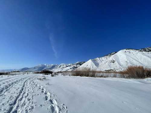 Winter in Gardnerville, Nevada: Ways to Enjoy the Season