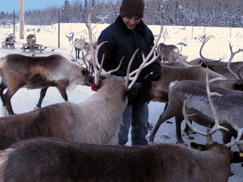 The Winter Solstice Festival in Fairbanks, Alaska Is the Most Dazzling ...