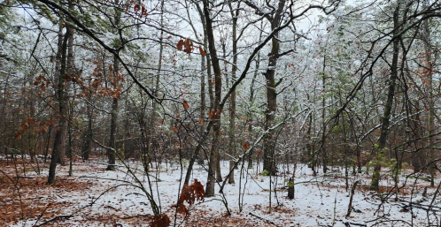 Travertine Creek Is One Of The Best Hot Springs In Oklahoma