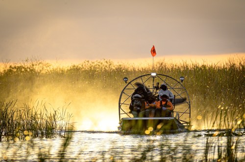 What is Viator? Your Guide to Travel, Tours, and Unforgettable Experiences