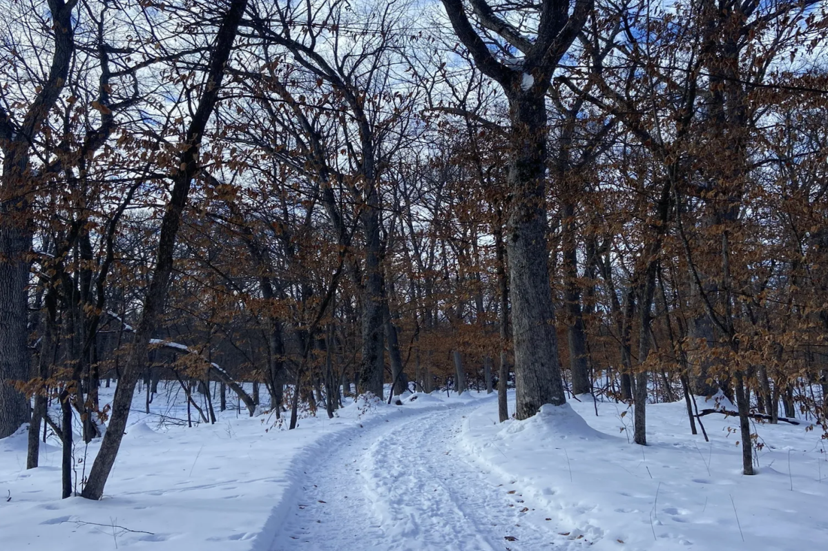 This is One of The Best Winter Hikes in Minnesota