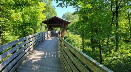 All Persons Trail: Can't-Miss Hike in Maine
