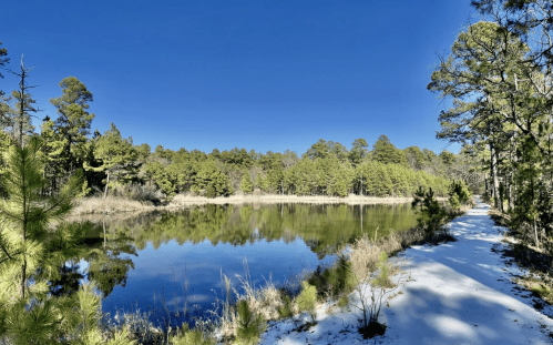 Travertine Creek Is One Of The Best Hot Springs In Oklahoma