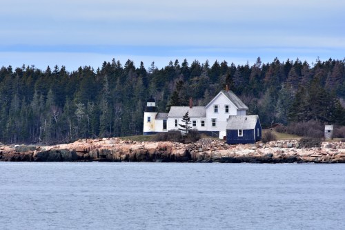 Discover Winter Harbor: An Underrated City in Maine