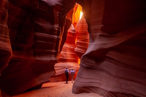 What is Viator? Your Guide to Travel, Tours, and Unforgettable Experiences