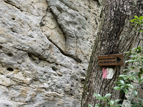 Desoto Falls Bottom and Ice Box Cave Trail near Mentone, Alabama
