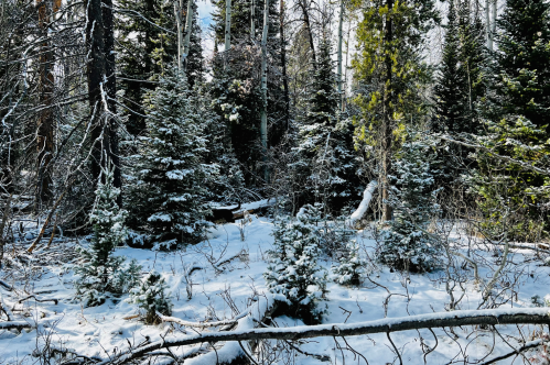 Only In Your State: Discover Magic In Your Own Backyard