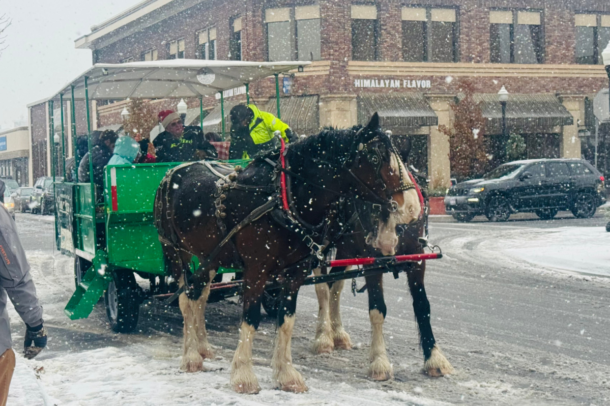 I Took a Horse-Drawn Trolley Ride Through My Hometown in Idaho