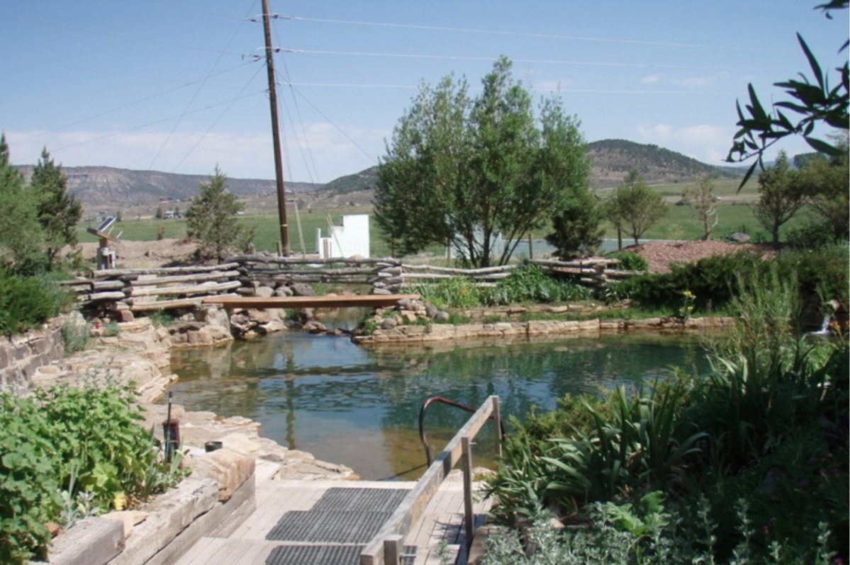 Discover the Healing Orvis Hot Springs in Ridgway, Colorado