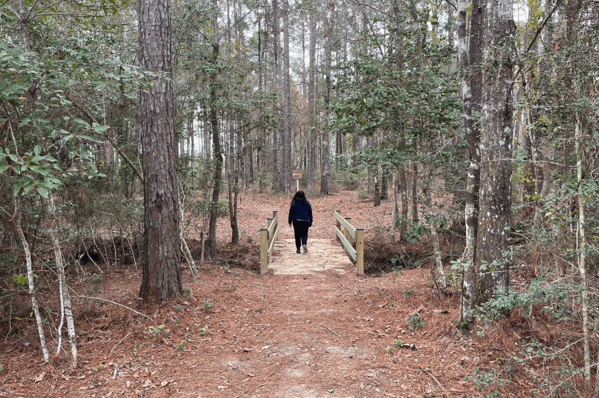 Best Hikes in Texas: Longleaf Pine Trail at Big Thicket National Preserve