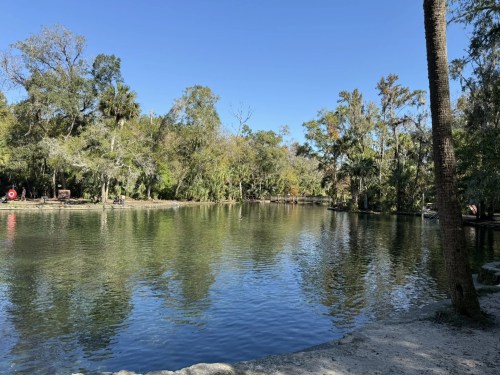 The Wekiwa Springs Volksmarch Trail Near Apopka, Florida Is a ...