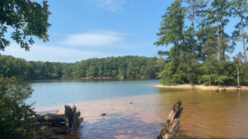 The 15 Best State Parks in South Carolina to Visit ASAP